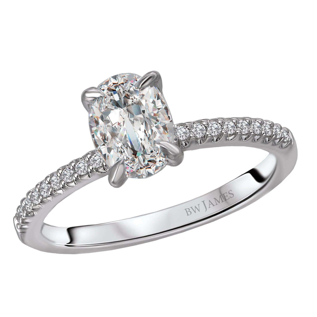 All Engagement Rings – BW James Jewelers